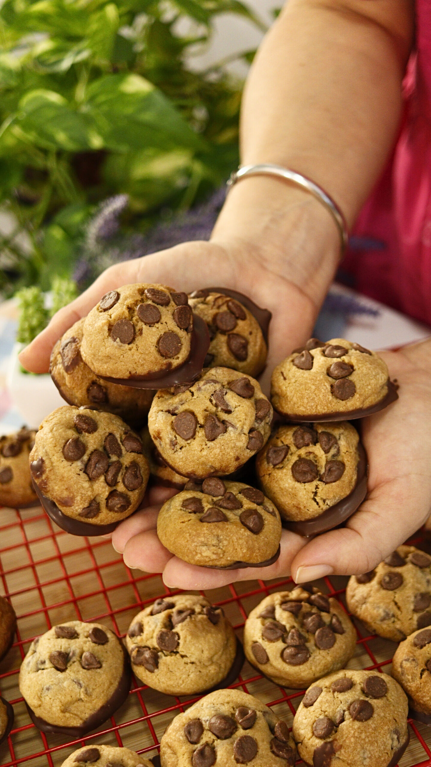 Mini Cookies com Chocolate | Dika da Naka